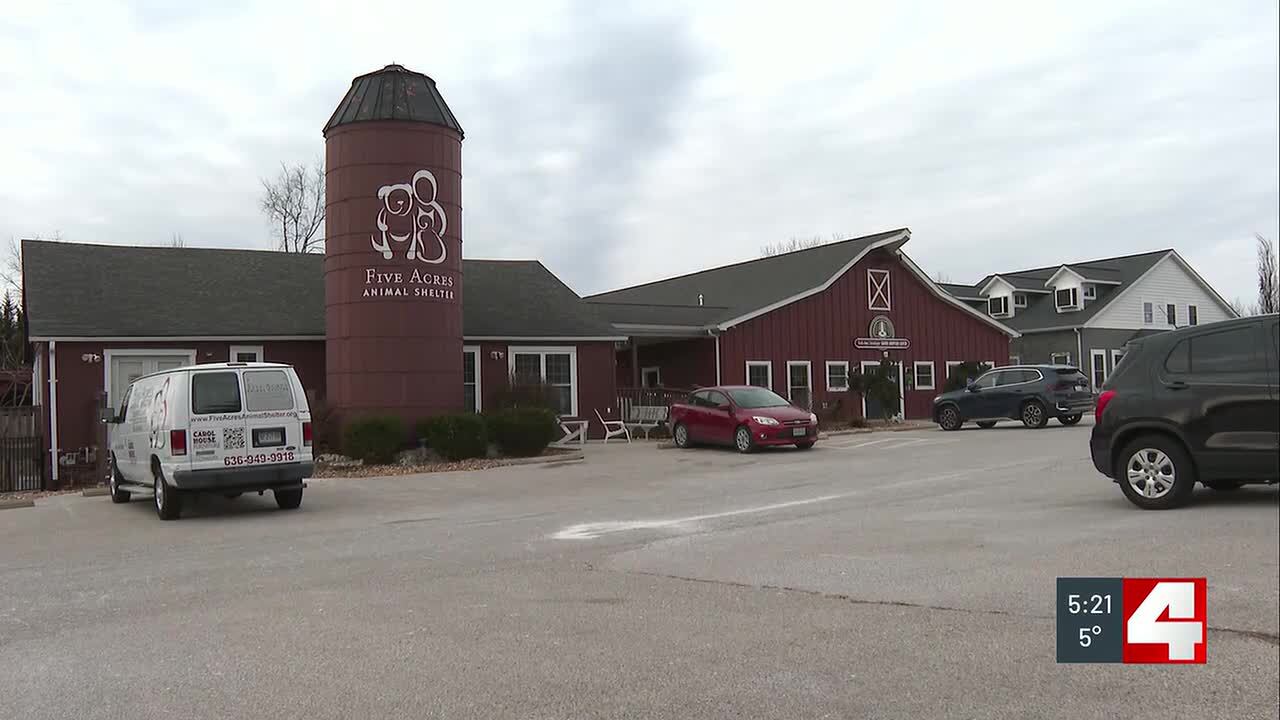 Winter weather prompts foster push at St. Charles animal shelter