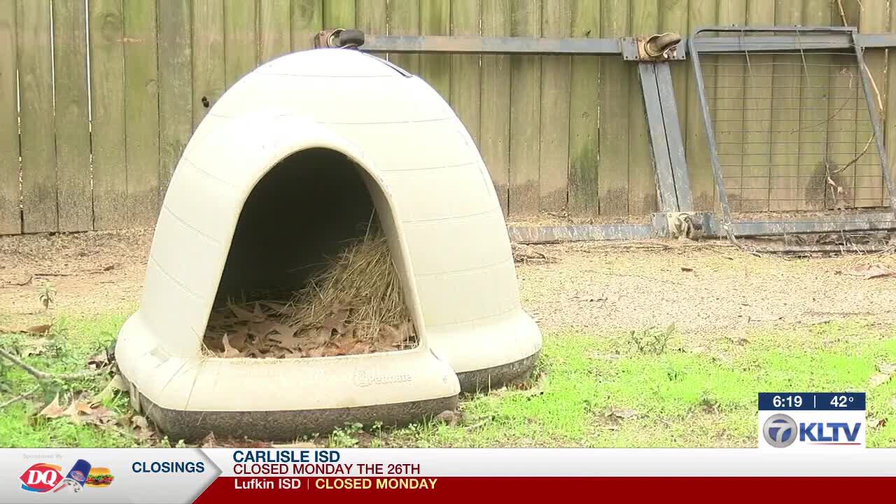 Texas law requires adequate shelter for dogs during severe weather