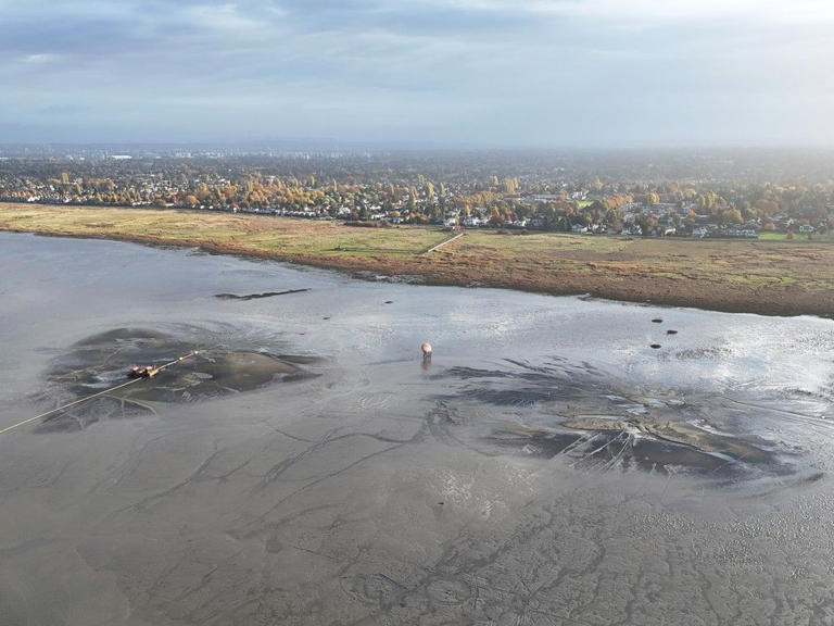 Climate change: Richmond-based pilot using Fraser River sediment to ...