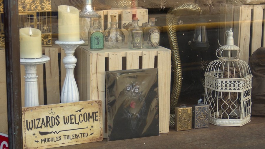 Wizard Weekend is still on despite winter weather