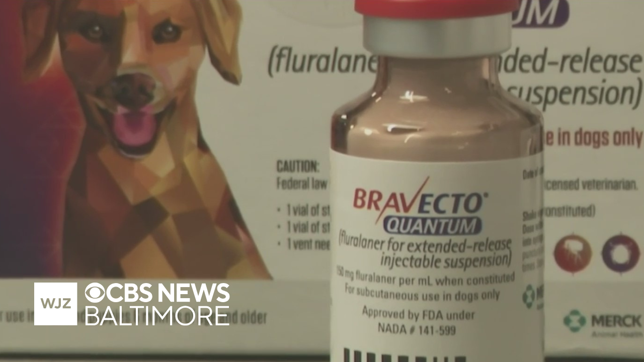 FDA approved long-lasting flea and tick treatment to protect dogs for a ...