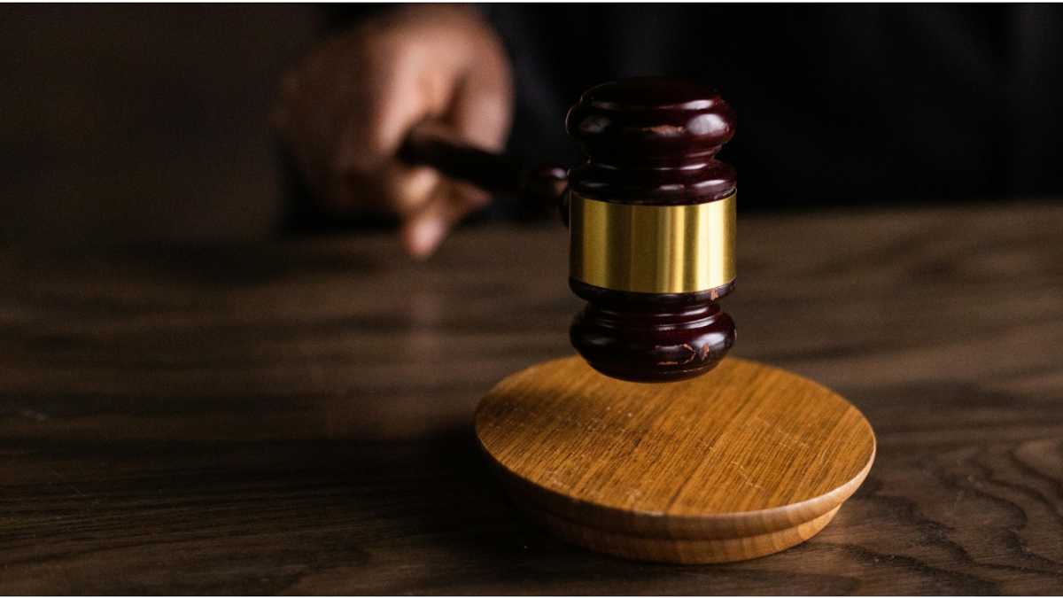 Security guard found guilty for killing a pup by throwing it off a ...