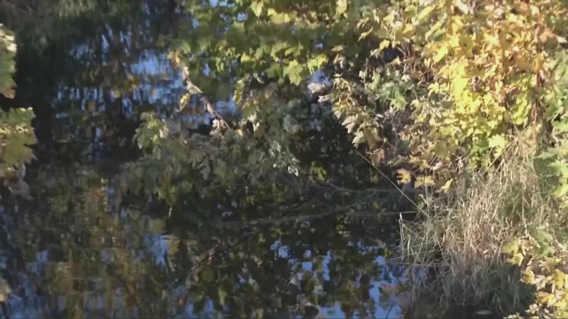 Iowa House Democrats propose plan to address state's drinking water