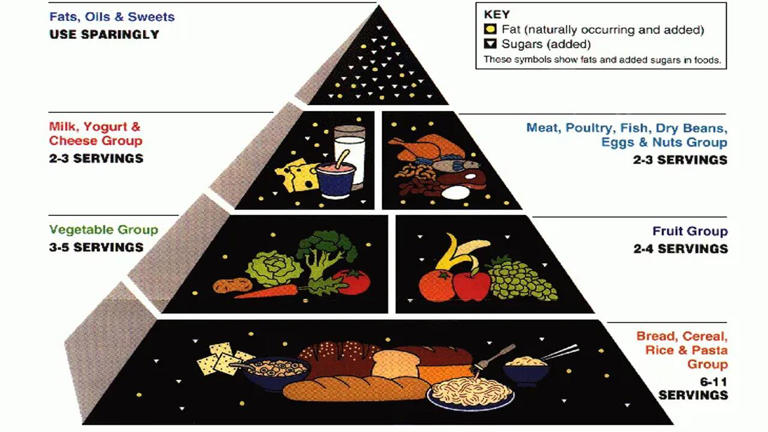 The return of the food pyramid and its focus on whole grains and protein