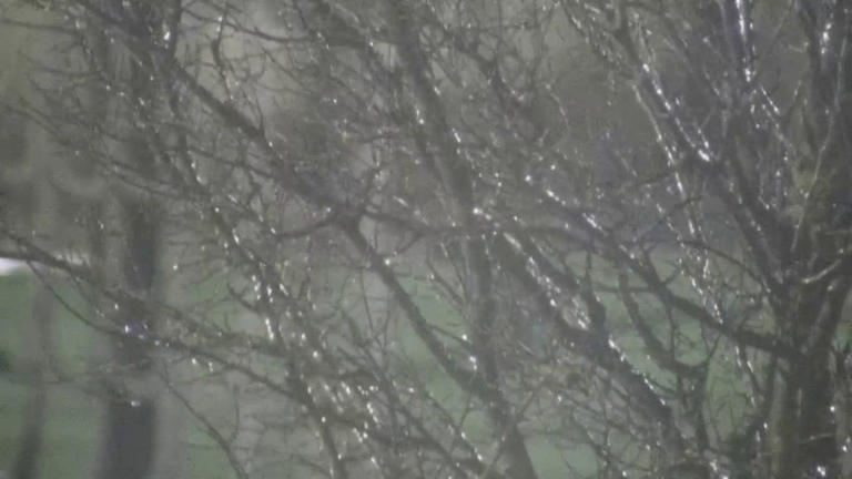Live updates: Ice storm, freezing temperatures reach North Texas