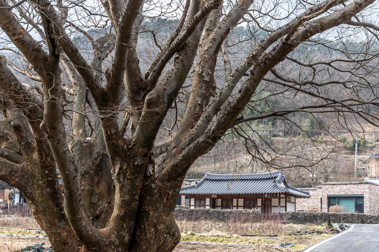 Winter journey to poet Kim's Seomjin River village