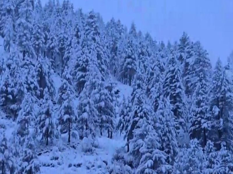 Heavy snow continues in J&K’s Doda; Jammu-Srinagar highway closed for ...