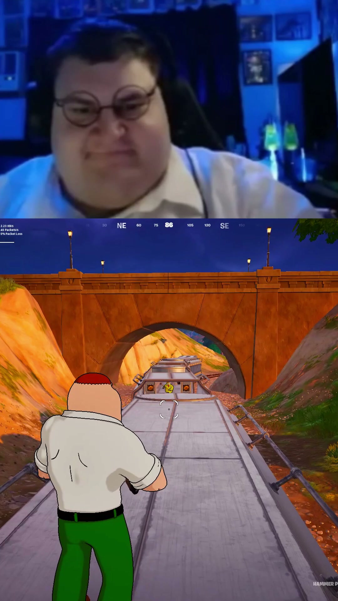 Peter Griffin chased the chicken