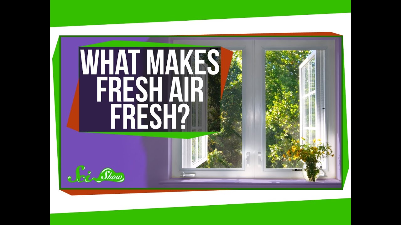 What makes fresh air fresh?
