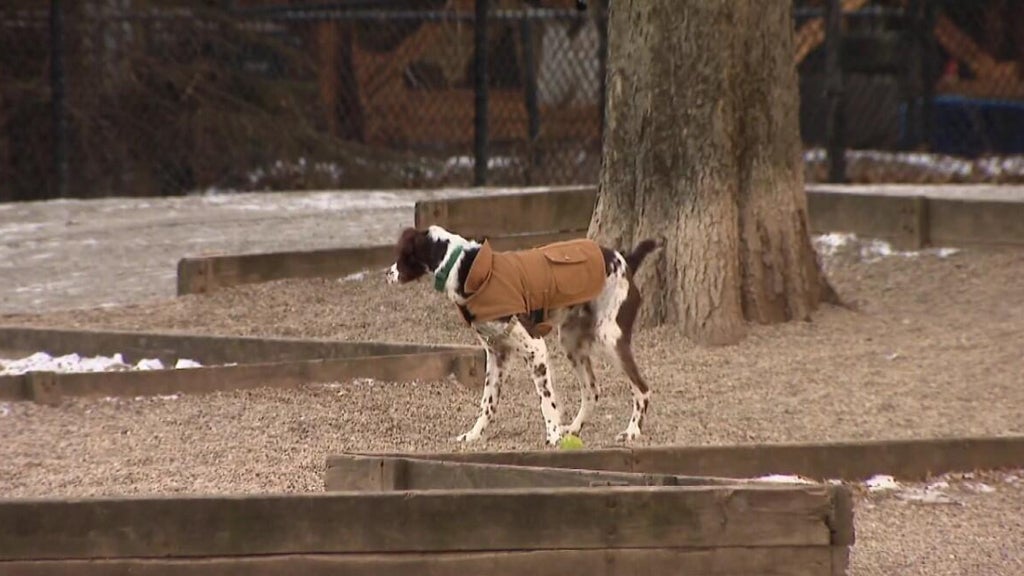 Pet owners, zoo officials work to protect furry friends from Chicago's ...