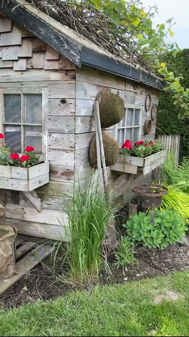 Turn a #dollartree hanging basket & tomato cage into THIS! 🤯