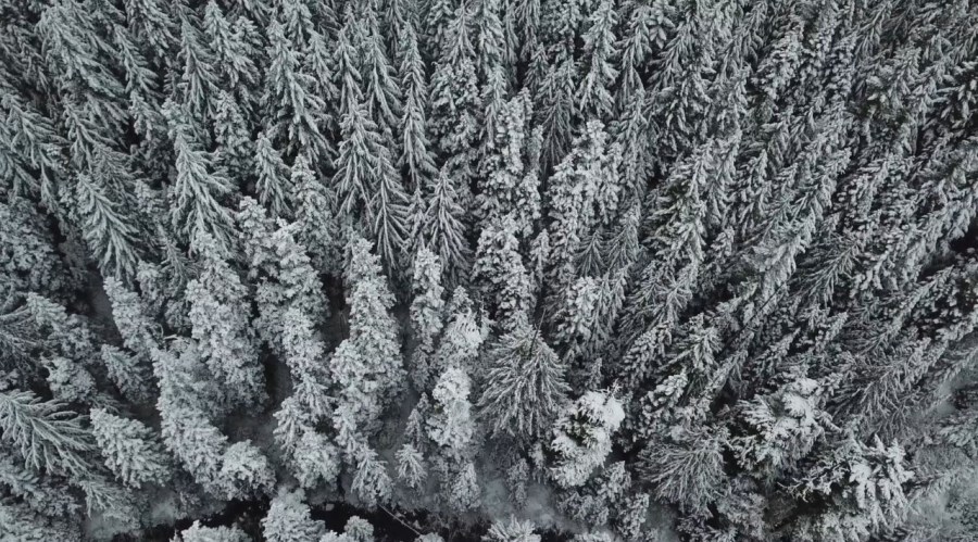 Governor Morrisey requests presidential emergency declaration before ...