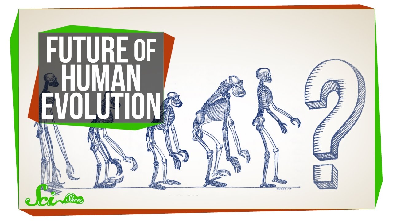 The future of human evolution