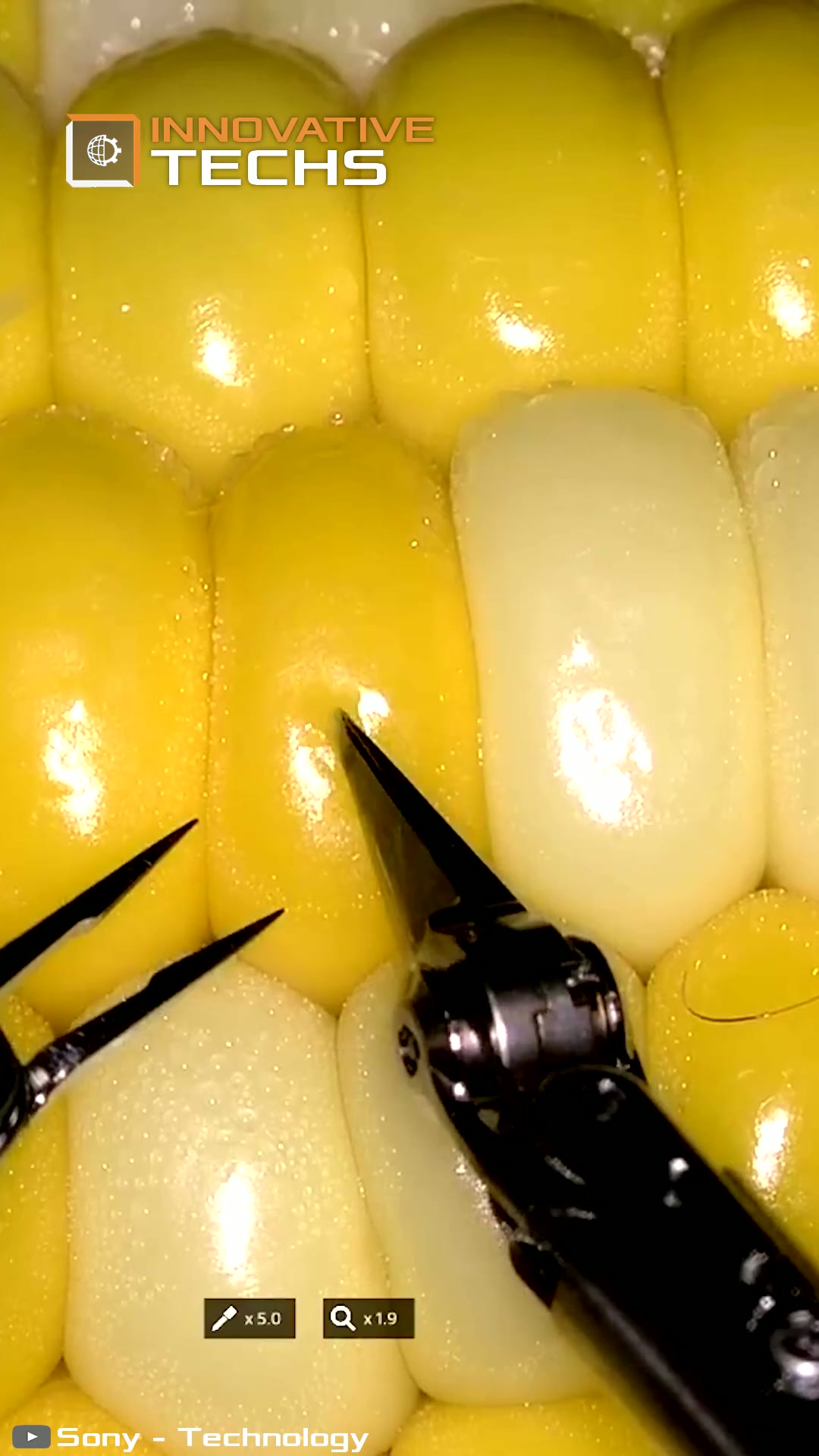Sony’s surgical robot performs dazzling microsurgery on a corn kernel!