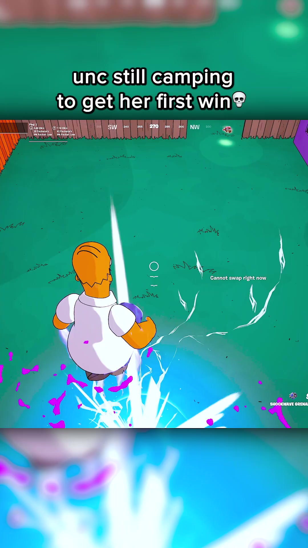 Homer Simpson vs Marge