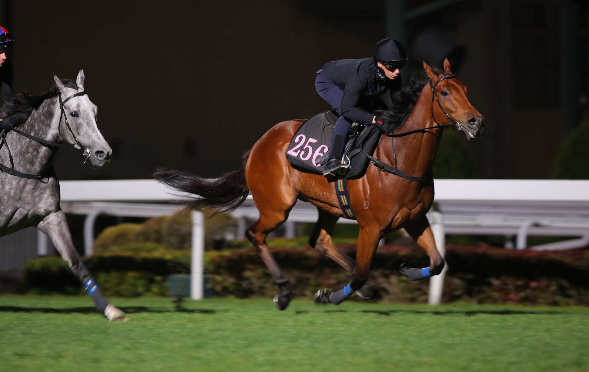 Badel and Guyon aim to cause upsets as My Wish and Galaxy Patch tackle tricky Stewards’ Cup