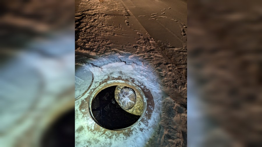 Colorado Springs Fire Department rescues dog from storm drain amid ...