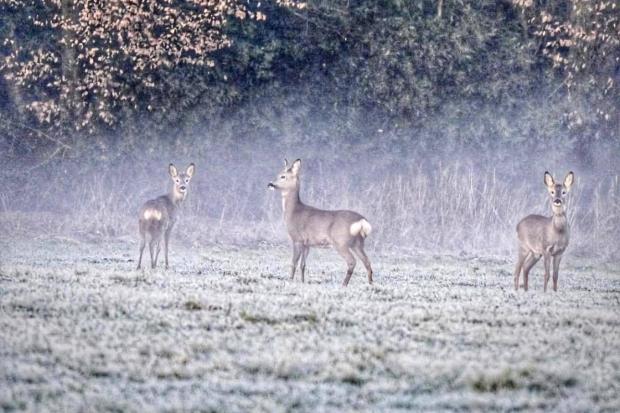 Nine more beautiful winter weather snaps to enjoy