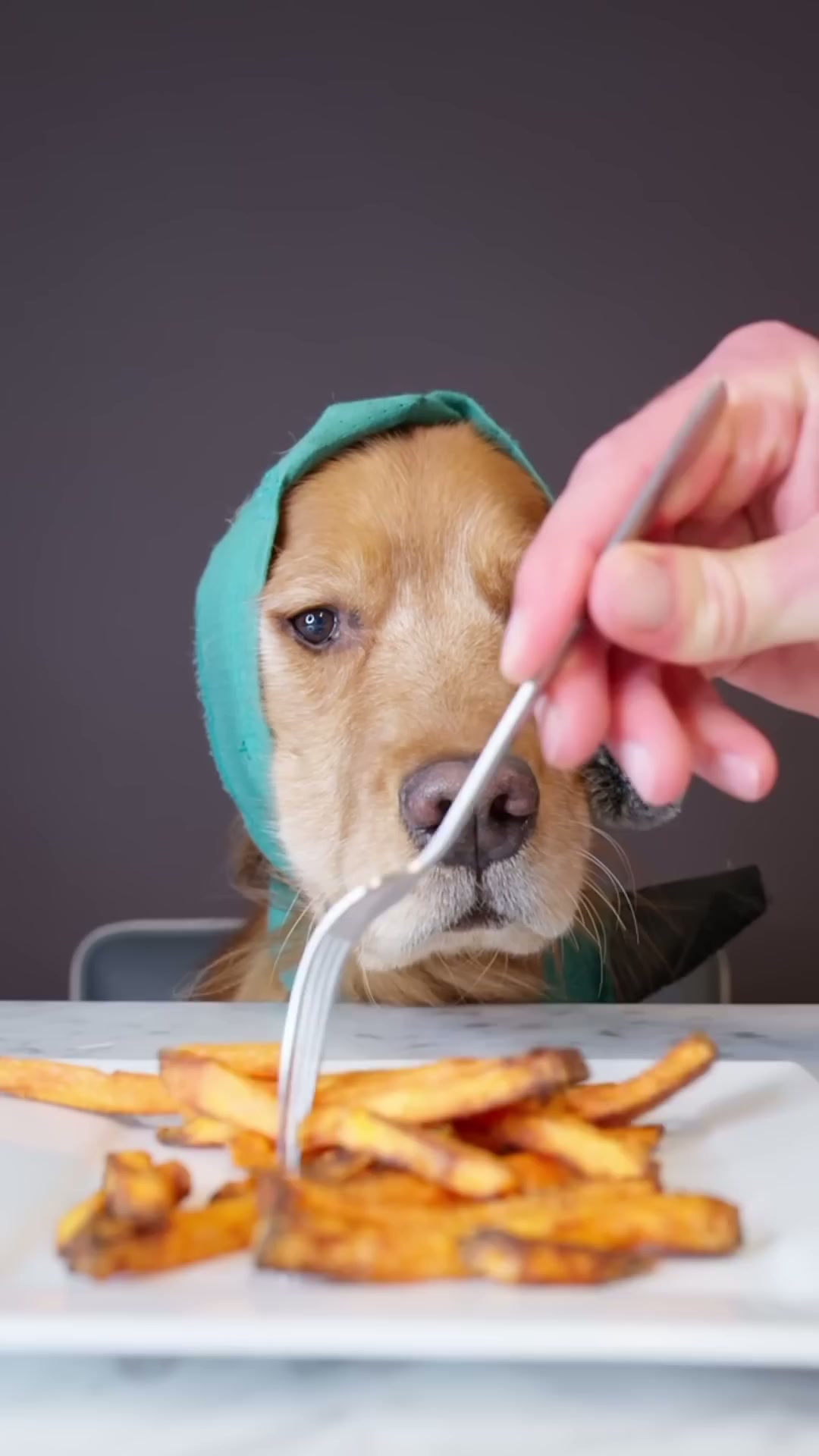 Making my dog dinner so she feels better! #goldenretriever #asmr #dogeating