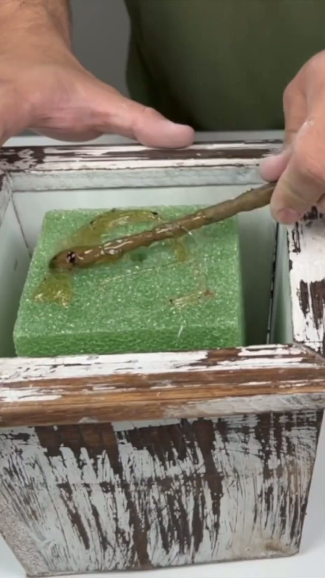 Grab some pumpkins & some floral foam… 🎃