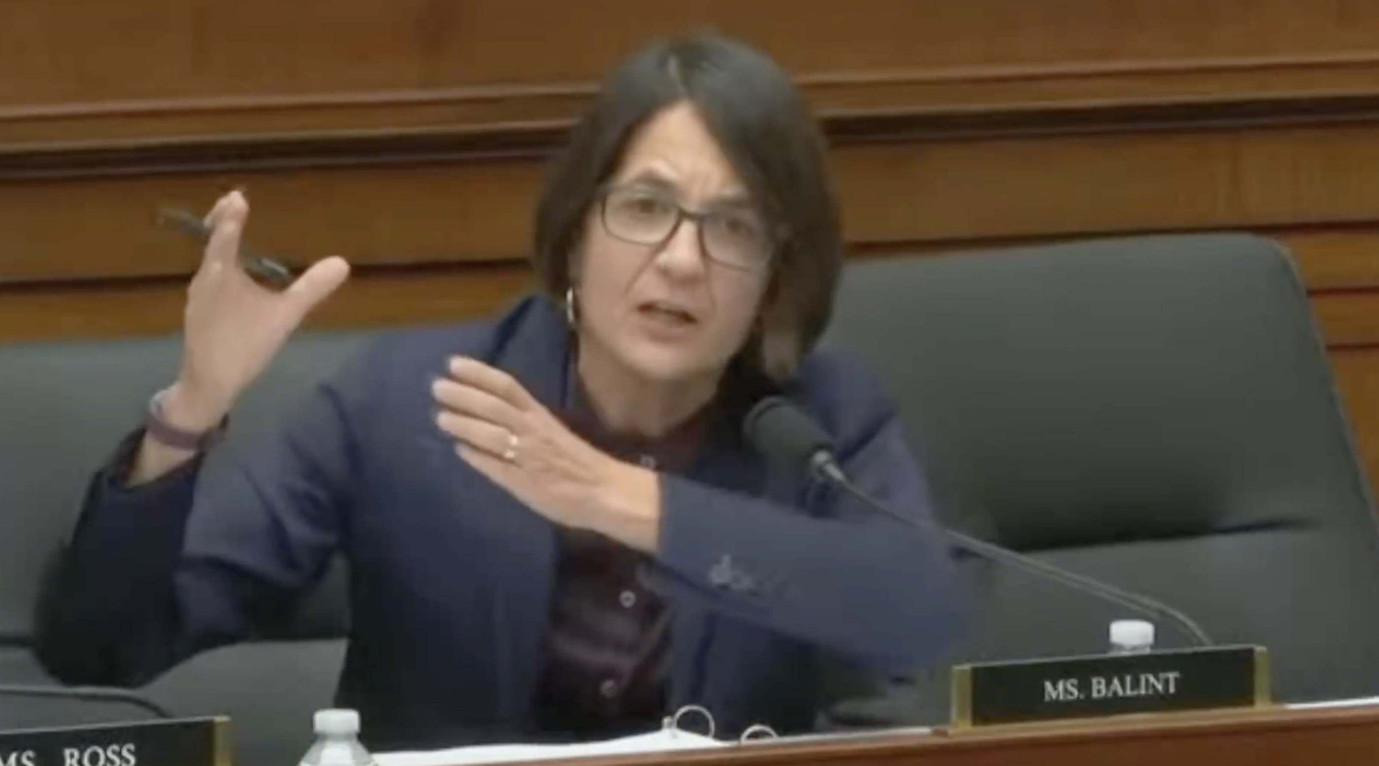 'There seems to be a separate system of justice': Becca Balint ...