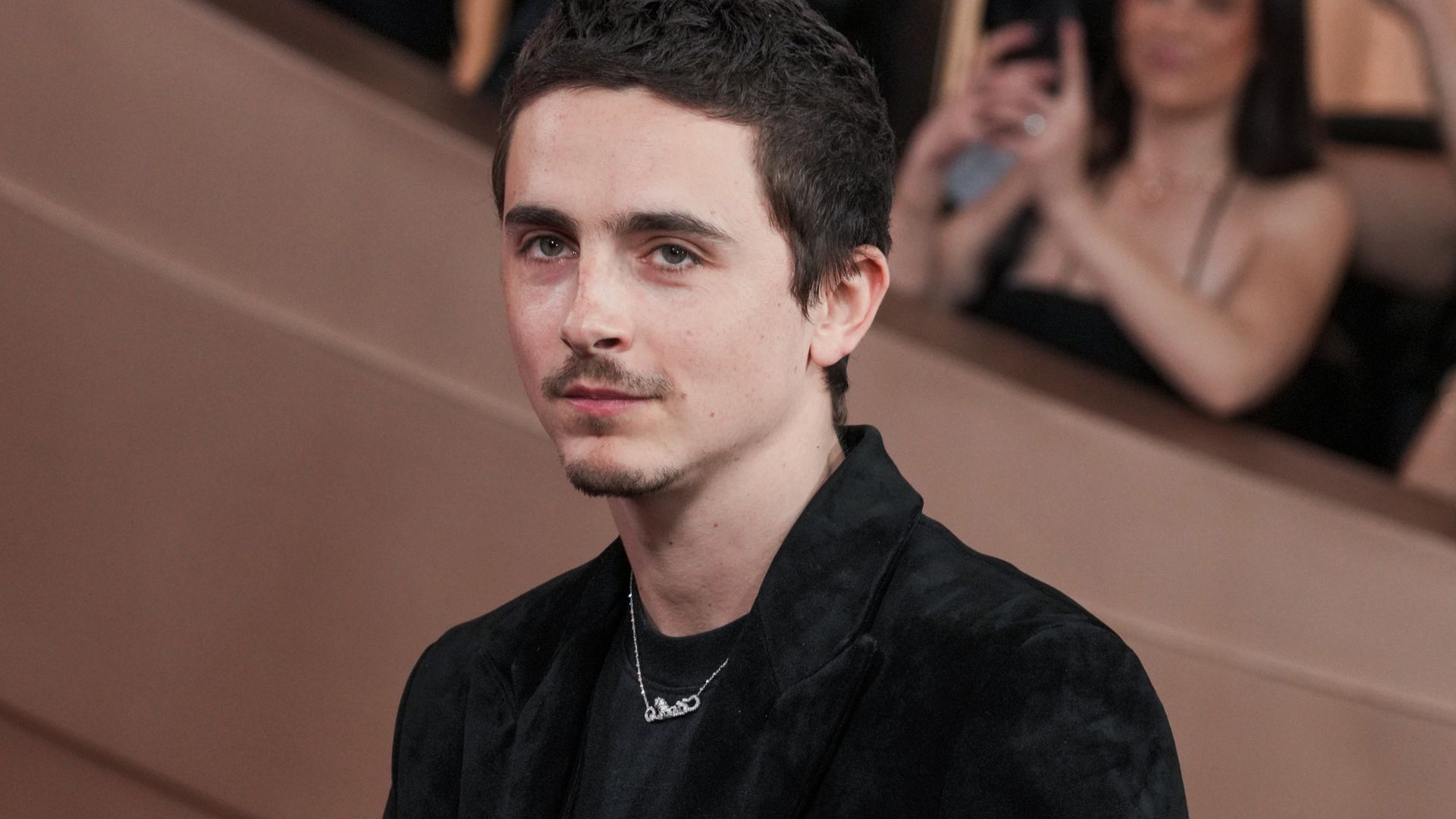 Timothée Chalamet's new Oscar-nominated movie the 4th A24 pic ever to ...
