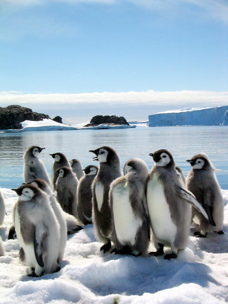 10 winter movies to make you feel warm inside