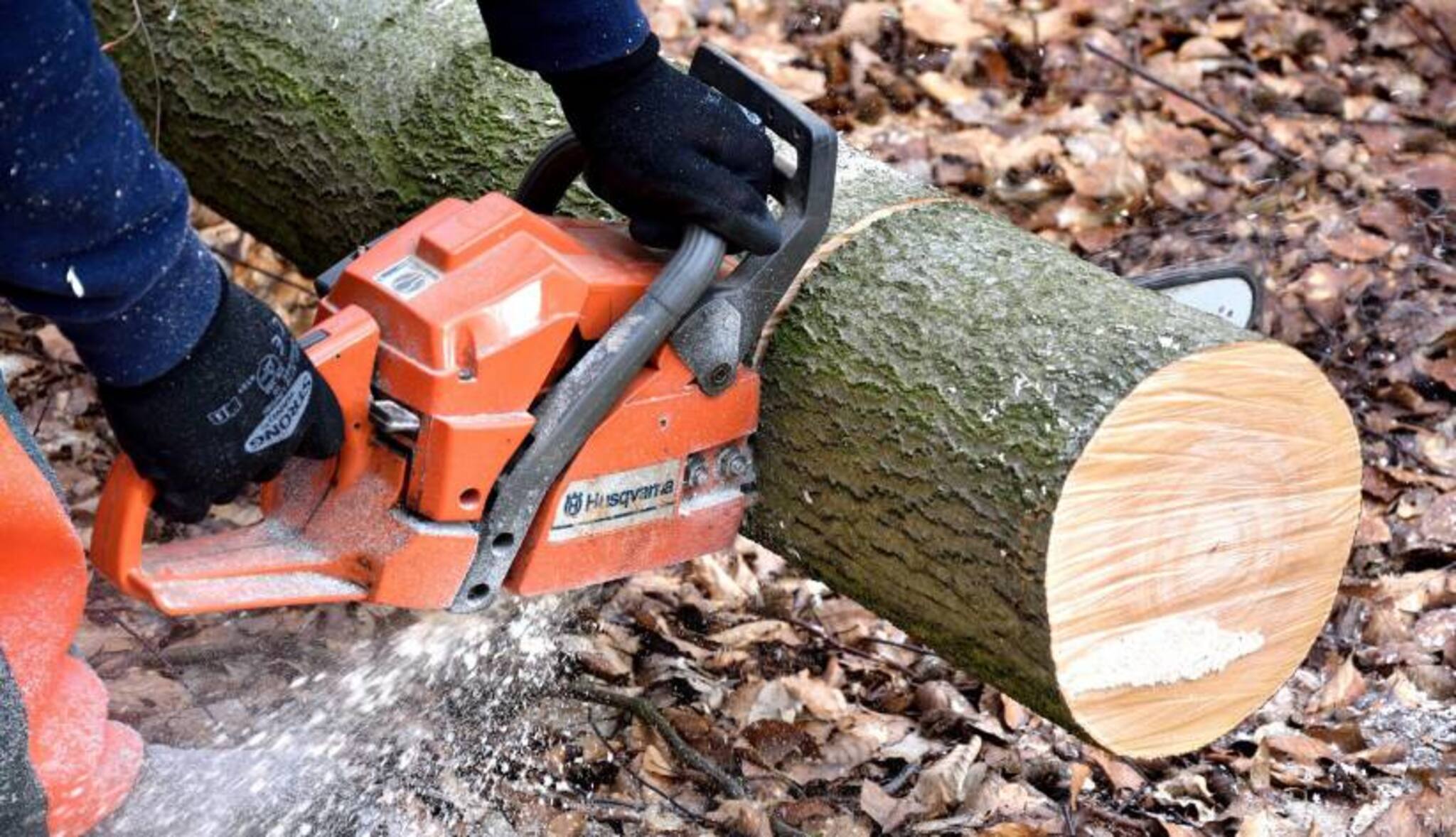 „In einer Sekunde ist der Arm durchgesägt“: Wie ich meinen ...