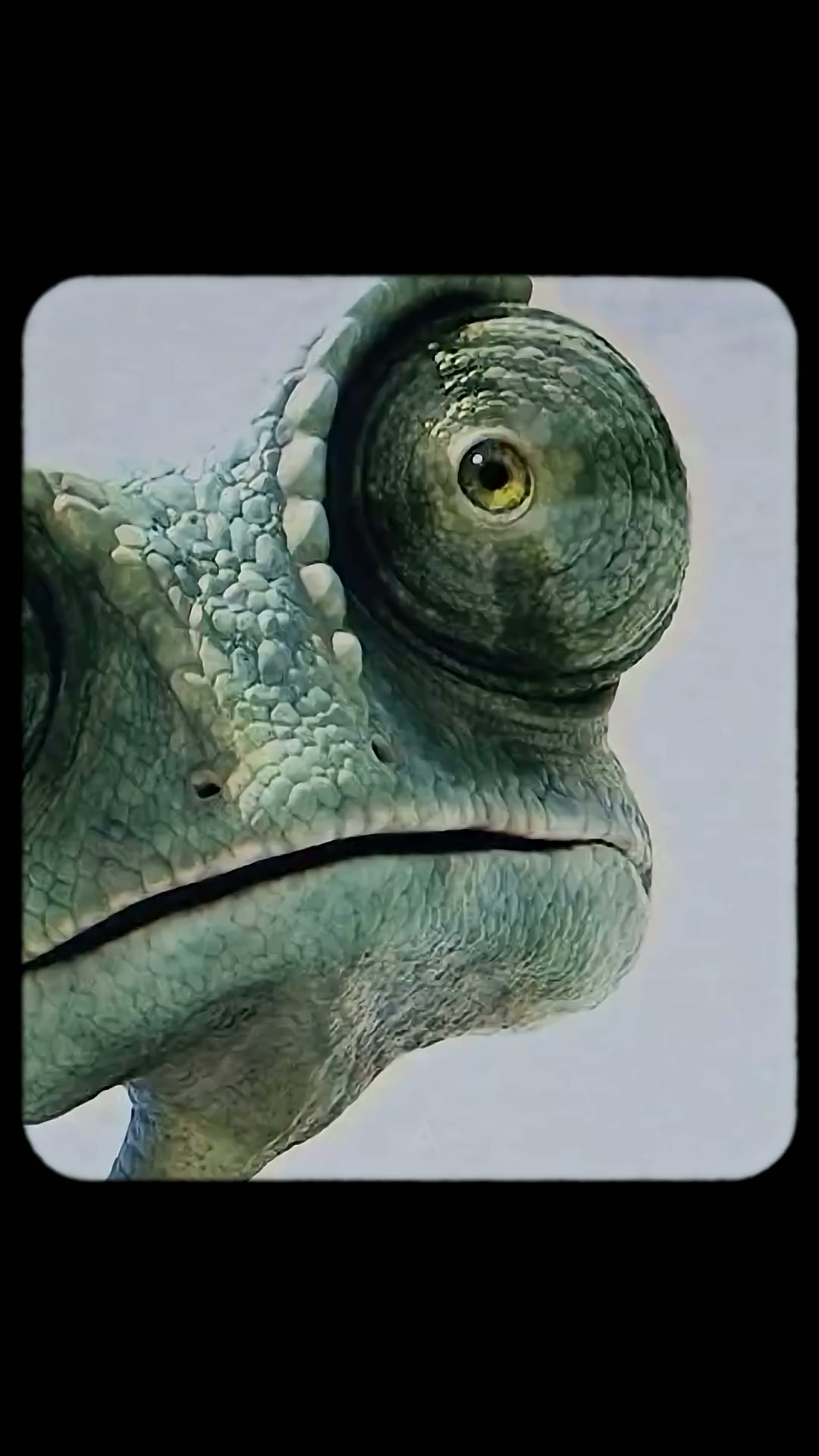 No man can walk out on his own story