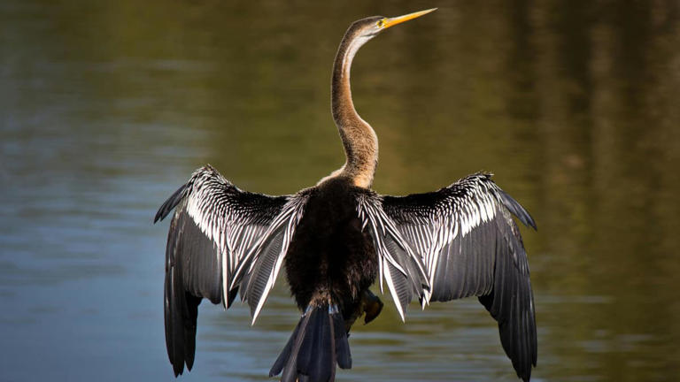 ABP Live Budget Traveller: Long weekend ahead? Budget-friendly places ...