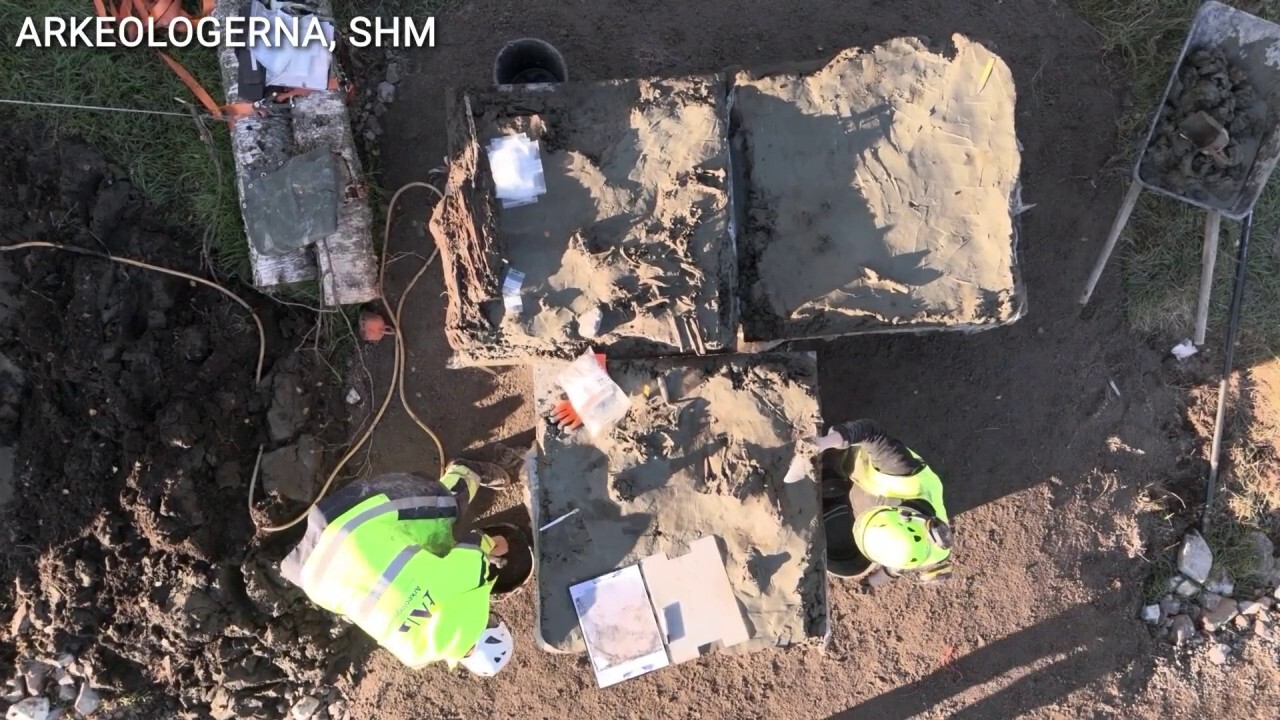 Stone Age dog buried with 5,000-year-old dagger found in Sweden