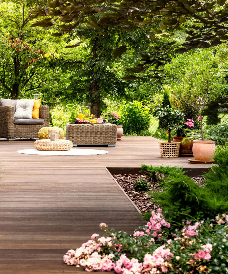 Backyard plants struggling in June? Here's how to water plants in midsummer