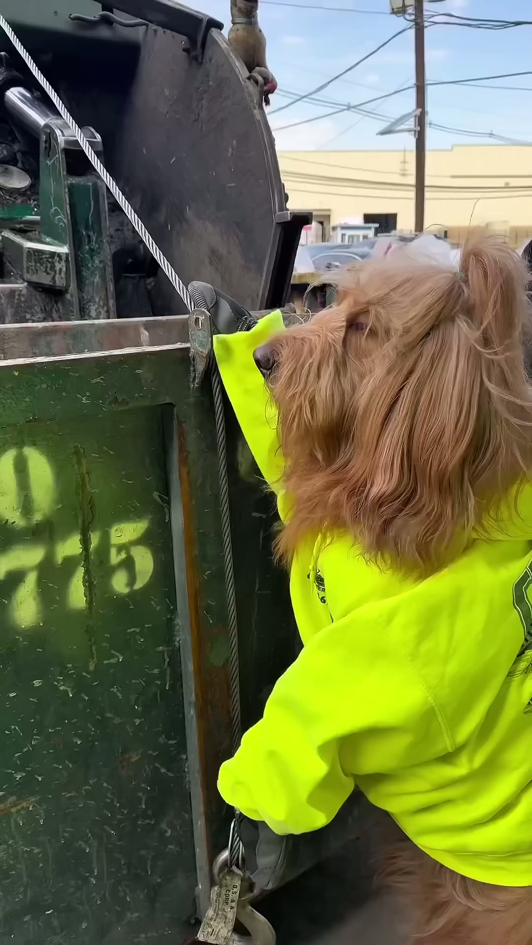 Brodie got his paws dirty picking up a garbage shift in NJ! What job ...