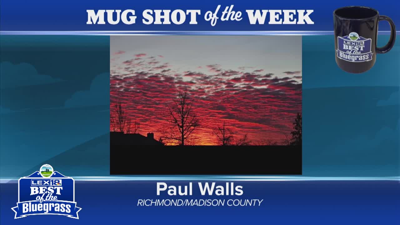 Mug shot: Paul Walls