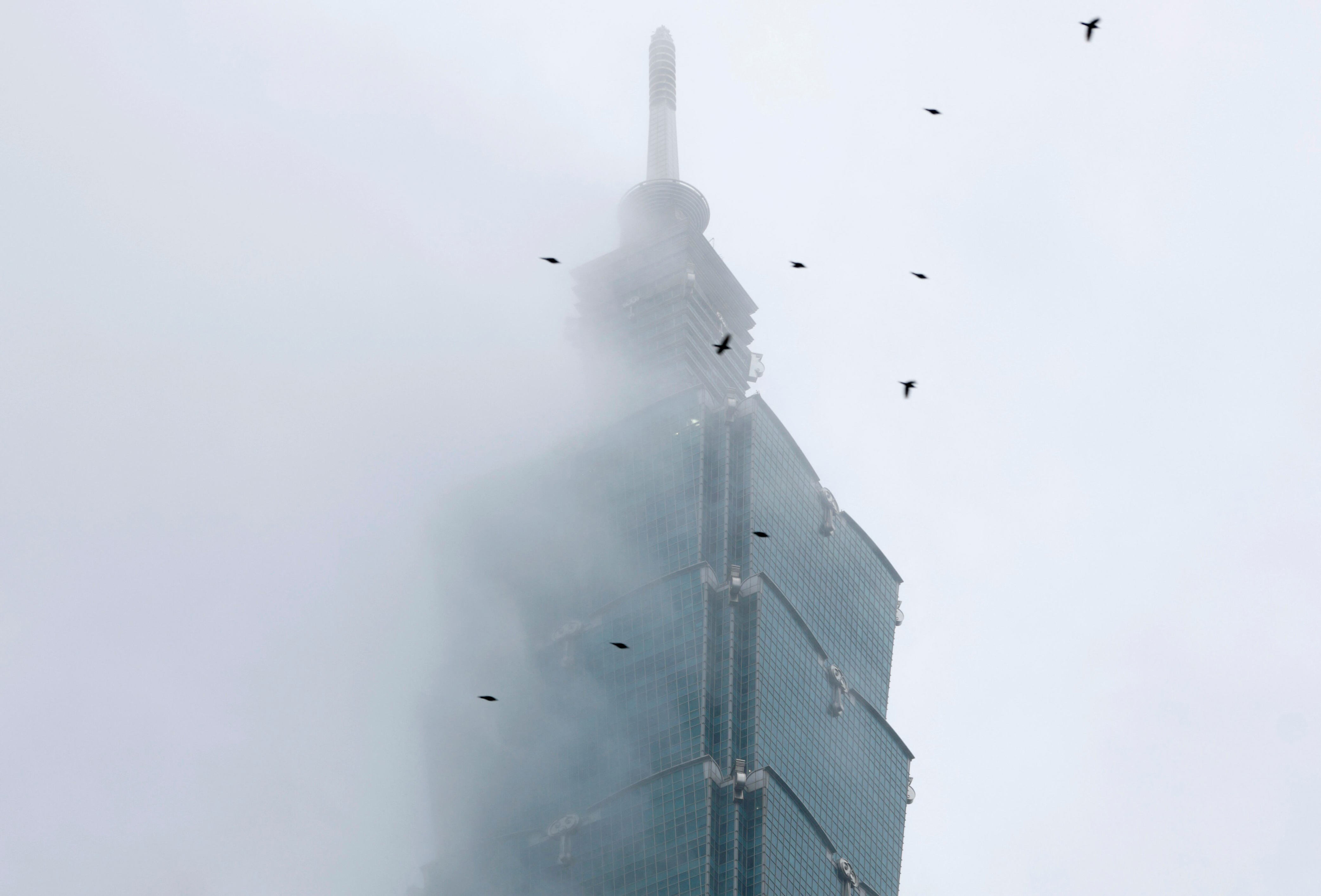 Honnold delays Taipei 101 climb over rain
