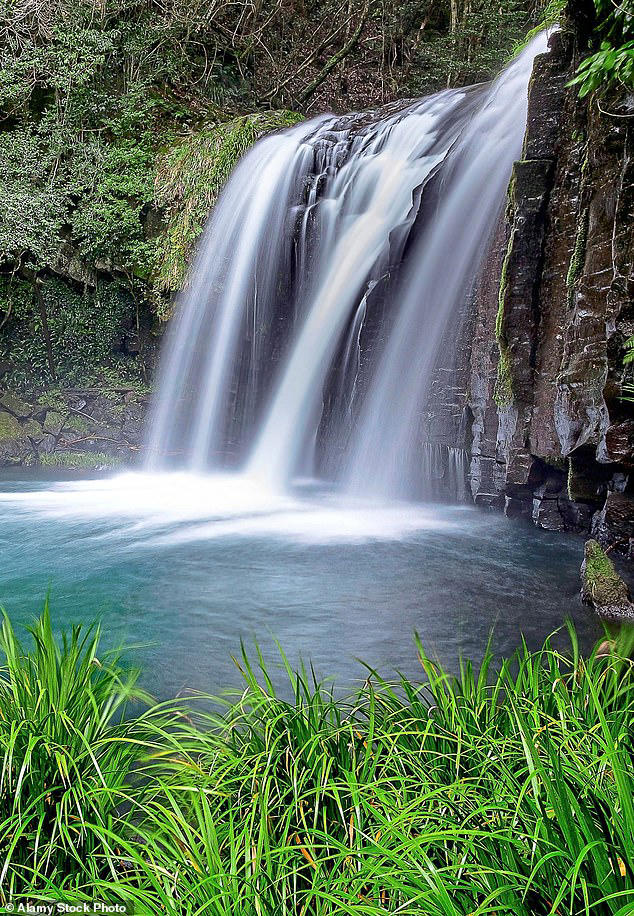 Where to eat, stay and play in Izu Peninsula, Japan