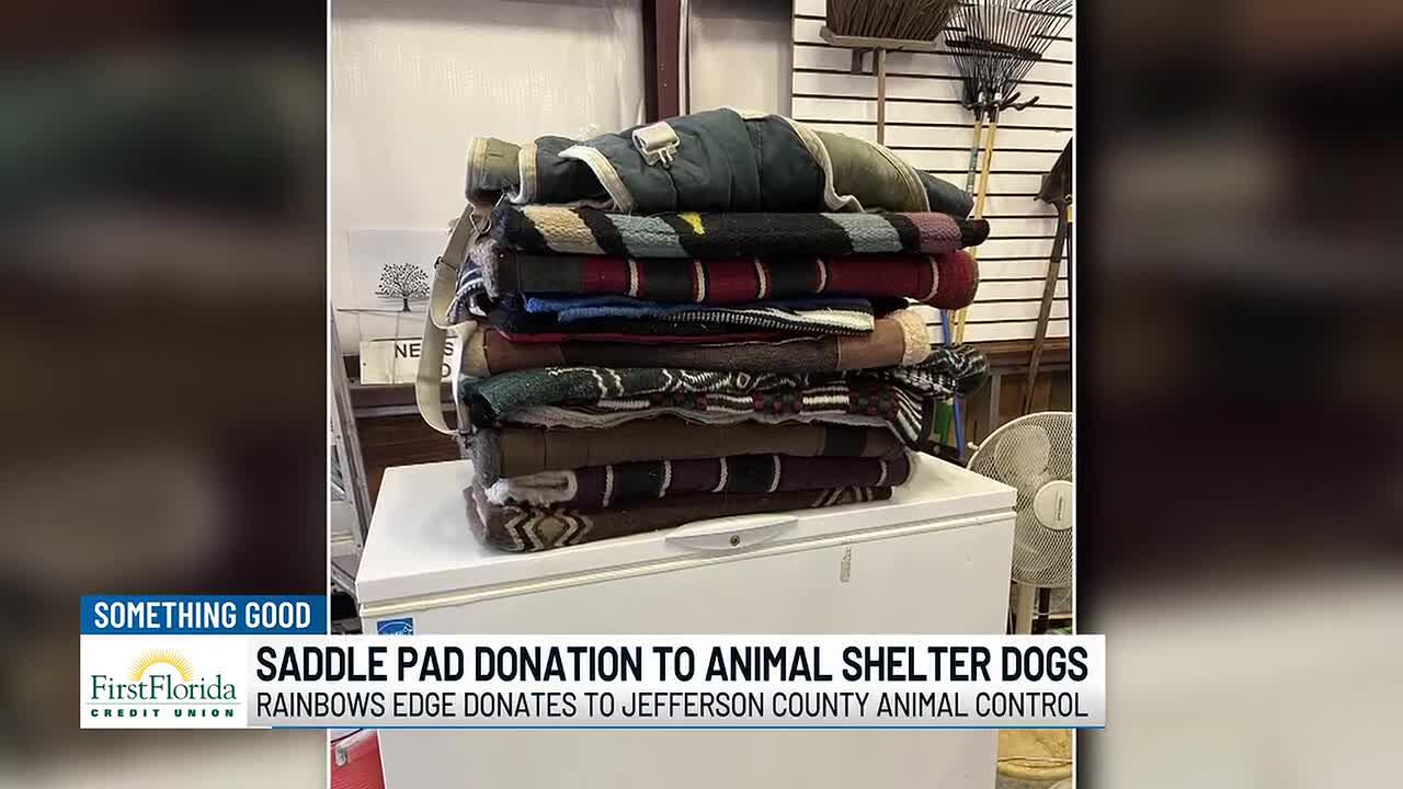Something good: Rainbows Edge donates saddle pads to Jefferson County ...