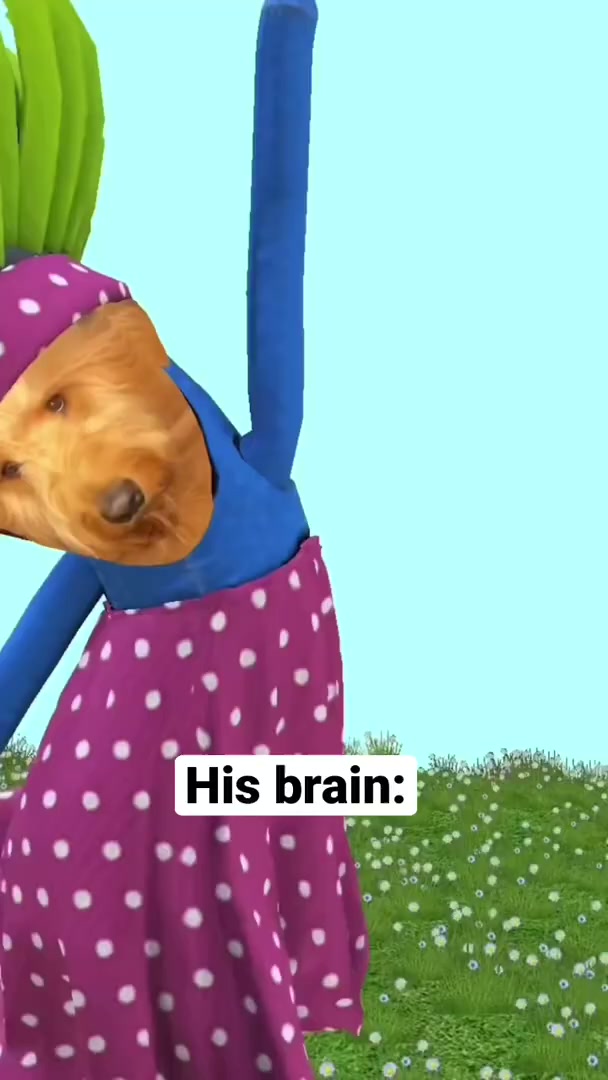 Trying to teach my dog new tricks 🥴 #dogtraining #goldendoodle #funnydogs