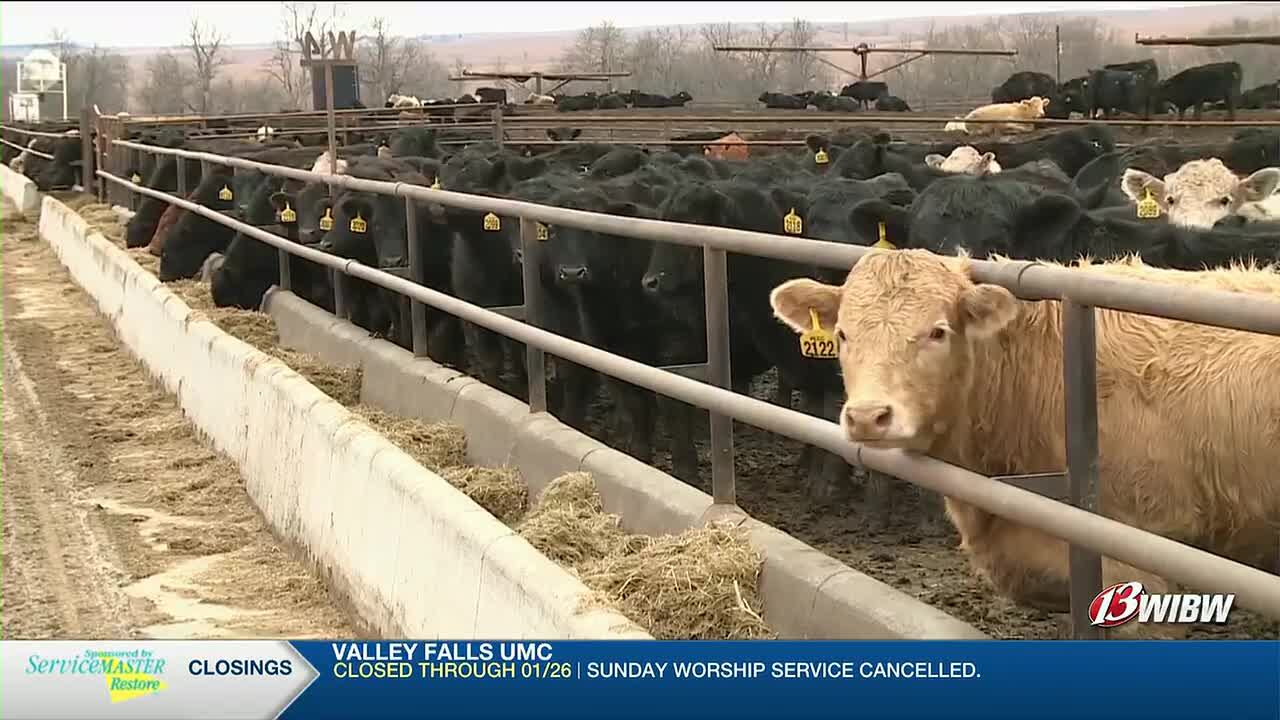 Kansas beef producer breaks down rising beef costs, shrinking herd sizes