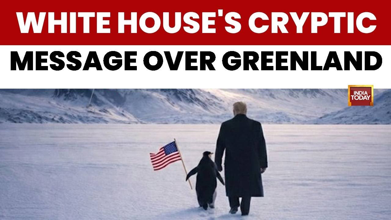 White House posts AI image of Donald Trump with penguin amid Greenland ...