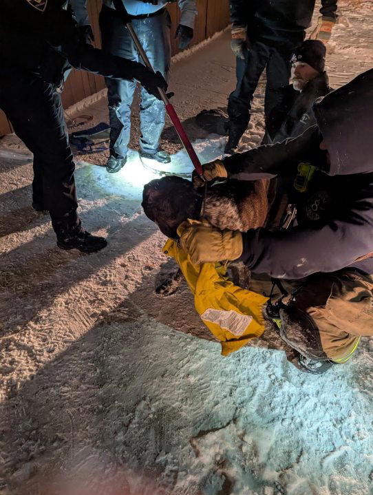 Colorado Springs Fire Department rescues dog from storm drain amid ...