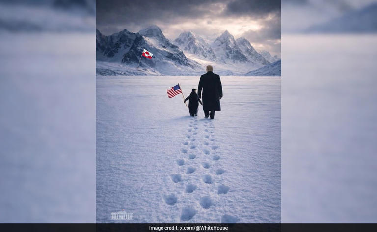 Trump joins 'penguin meme' trend with cryptic post on Greenland