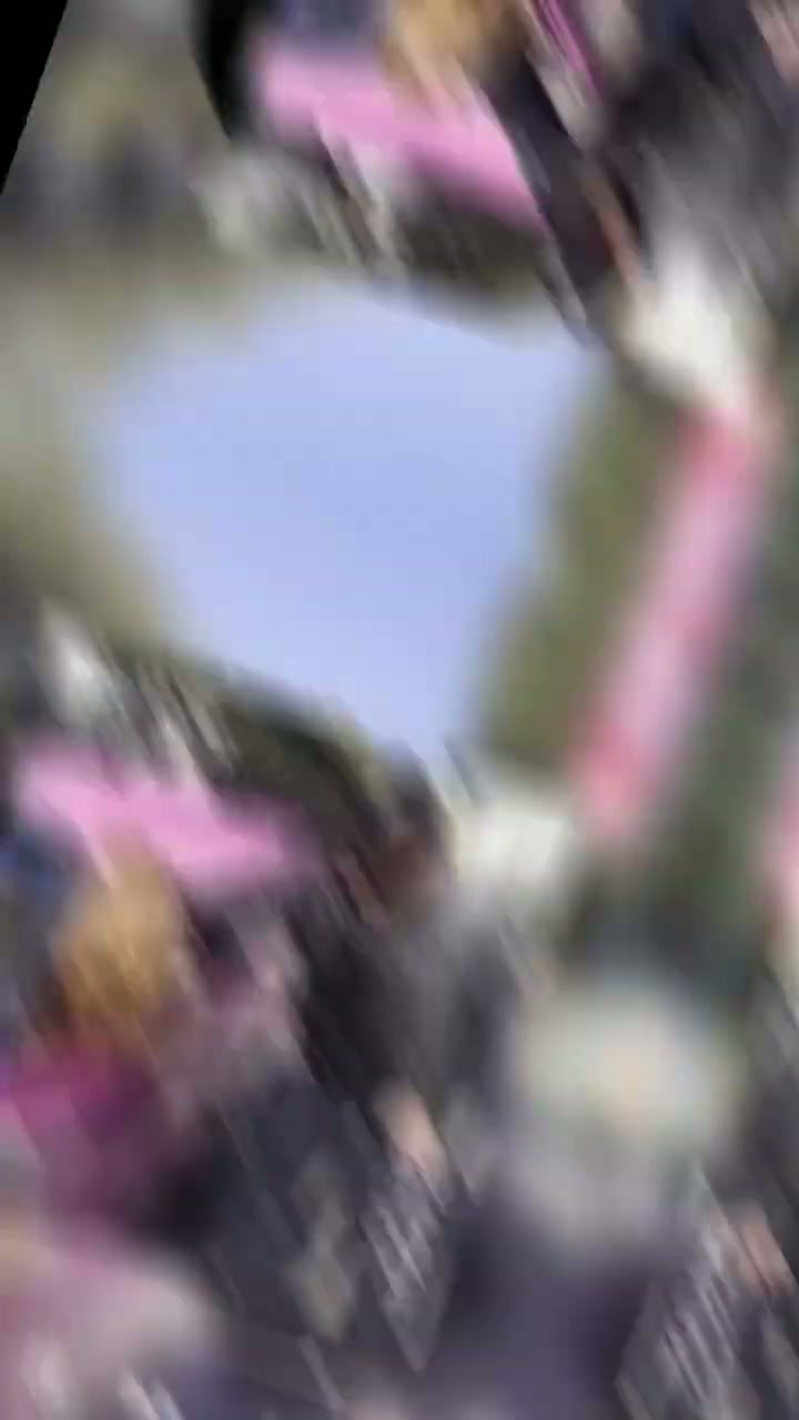 Making my dog into album covers! #albumcoverchallenge #goldendoodle # ...