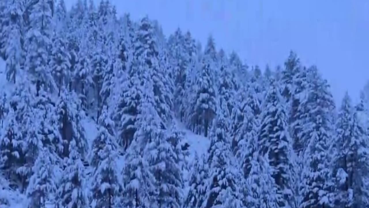 Heavy snowfall in J&K's Doda: Residents urged to stay indoors