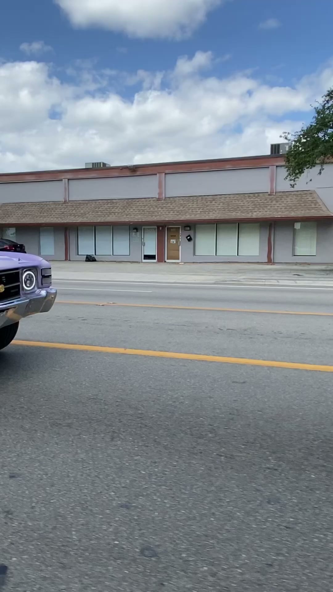 Chevelle Vert on 24’s Slidin