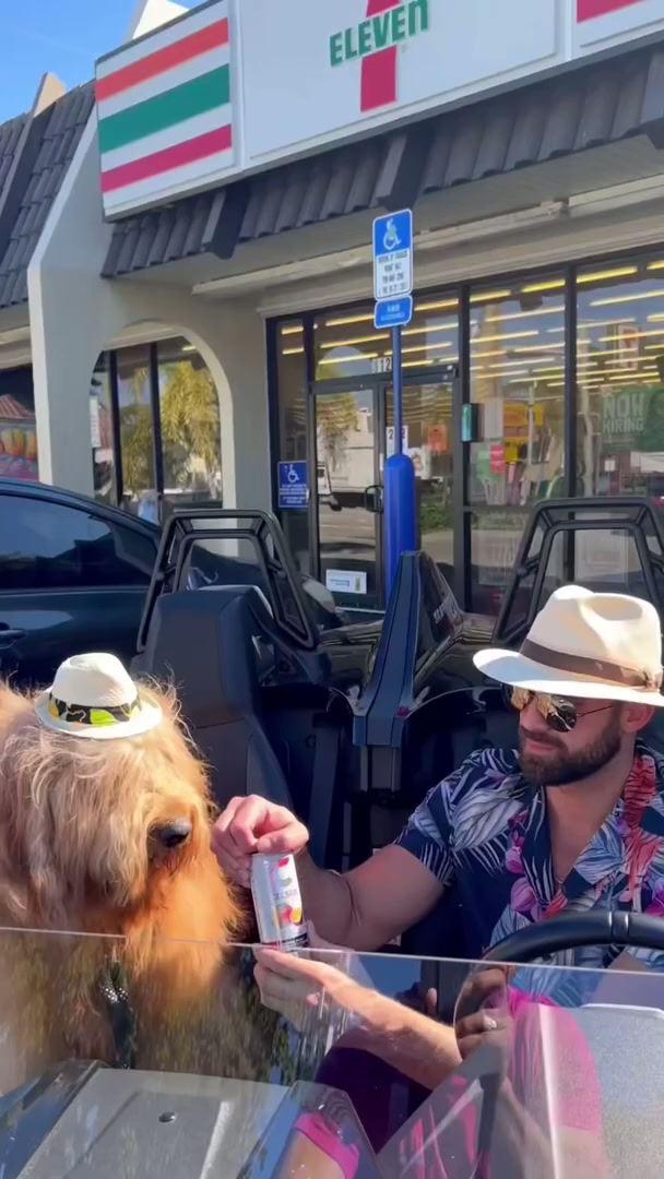 On the hunt in Miami! #celsiuslivefit #dogdad #miami