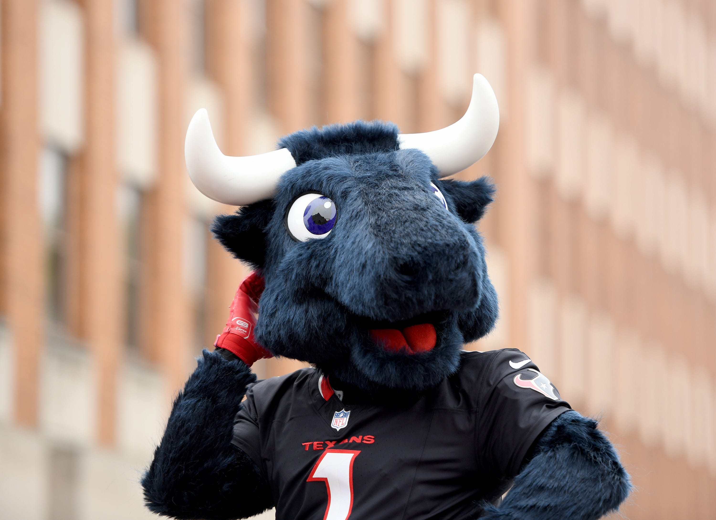 Texans’ mascot Toro attempts to break Steelers’ Terrible Towel curse