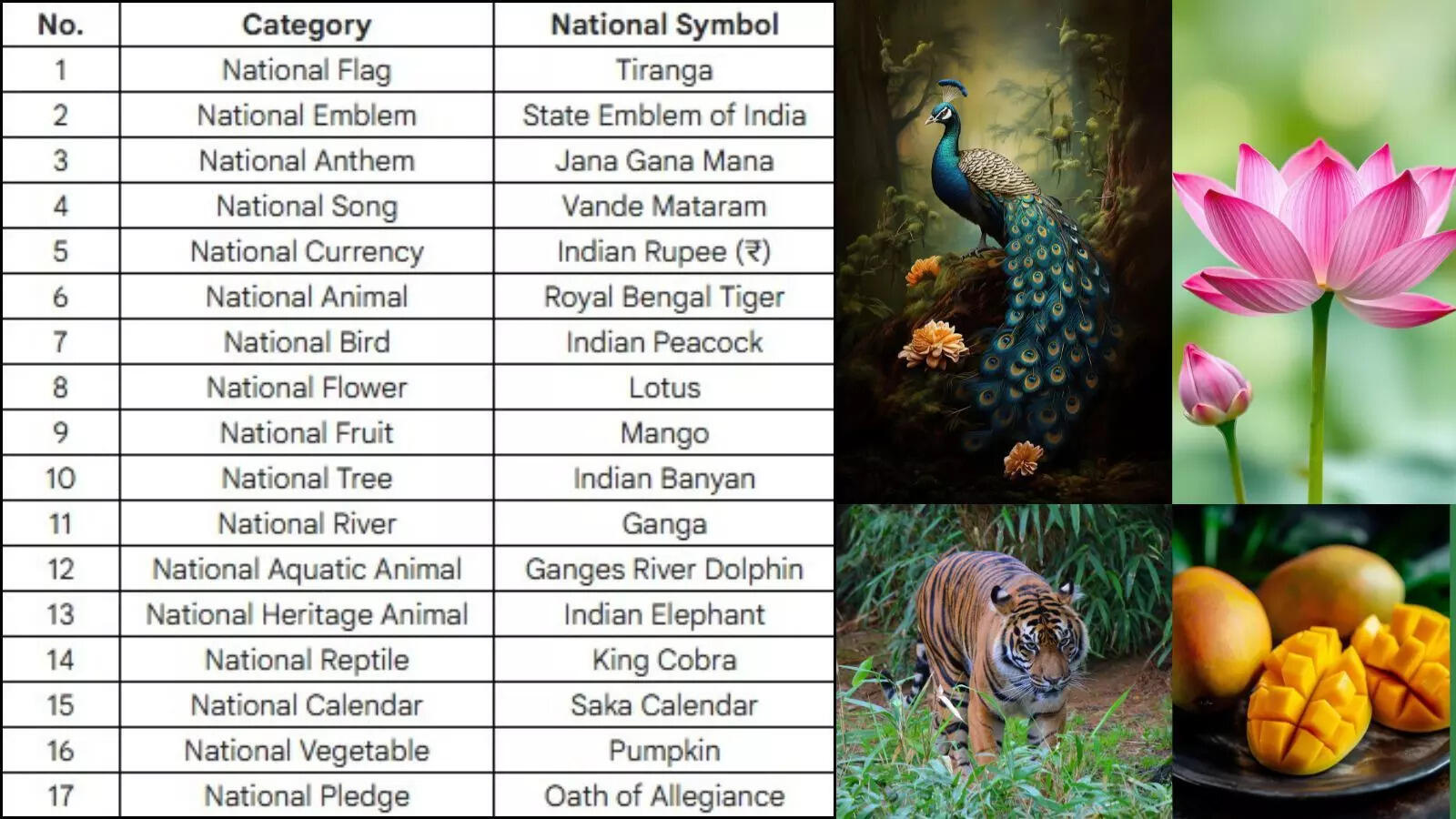 National symbols of India and their meaning explained