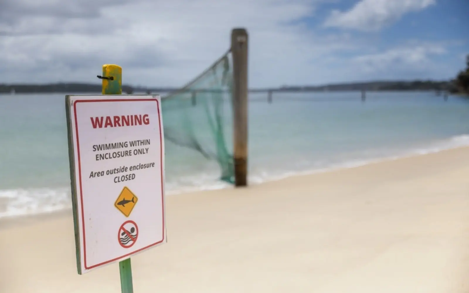 Australian boy dies after shark attack in Sydney Harbour