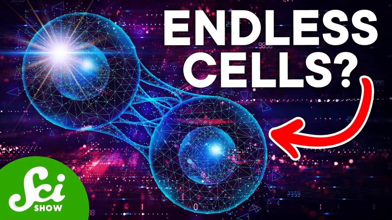 The rise and fall of stem cell research